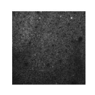 Concepts - DataJoint Documentation